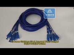 12 Cores Stainless Steel Armored Patch Cord SC-SC-30m Blue PVC 5.0mm Rodent Resistant