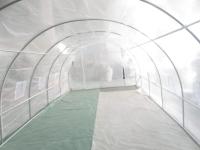 China Multi‑Span Walk‑In Garden Greenhouse for sale