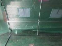 China Multi‑Span Walk‑In Garden Greenhouse for sale