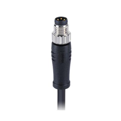 China M8 Cable Plug 4 Poles A Coding Male Connector Molded with PUR Cable for sale