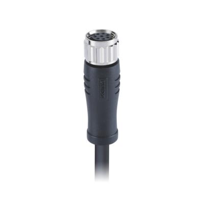 China M8 Cable Plug Female 8 Poles A Coding Connector Molded with PUR Cable for sale