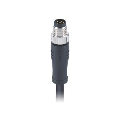 China M8 Cable Plug 6 Poles A Coding Male Connector Molded with PUR Cable for sale