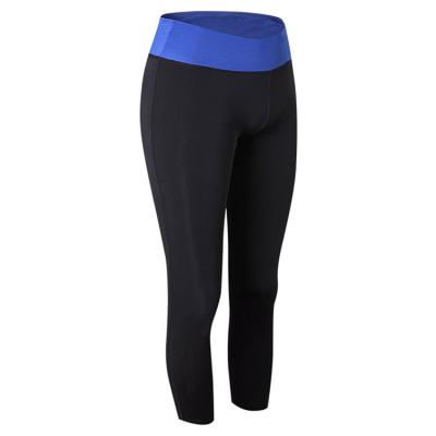 Cina Semplice allenamento a forma magra Yoga aereo Pantaloni sportivi Leggings da allenamento in vendita