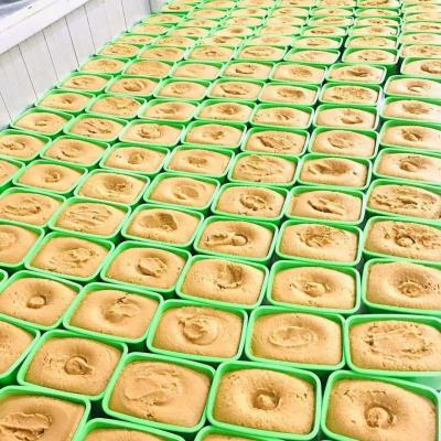 Cina Sushi caldo condimento e sapore autentico di pasta di soia preparata Dark Shiro Miso in vendita
