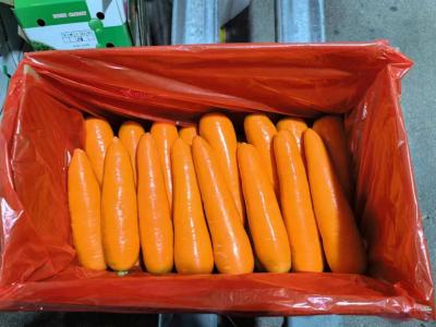 Cina 4 kg di carote naturali verdure fresche in vendita
