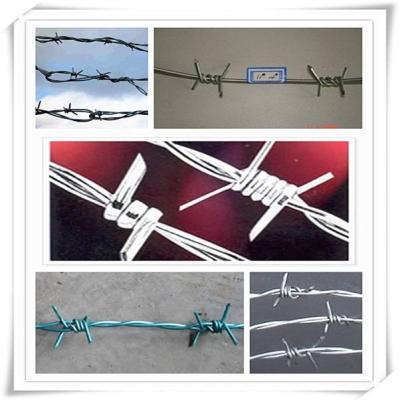 China high tensile, BWG 16x16 | 12x14, hot dipped galvanized barbed wire for fencing protection for sale