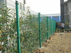 China High Level Galvanized Iron Wire Mesh Roll Wire fence for sale