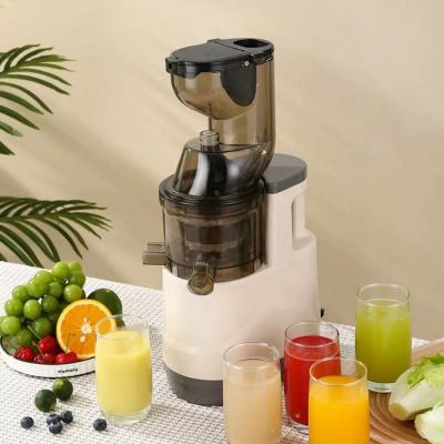 China 500W Automatic Fruit Juicer Multifunctional 500ml White Fruit Juicer Machine for sale