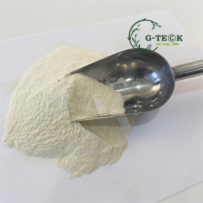 Cina Gli aminoacidi organici giallo-chiaro spolverizzano il supplemento completo dell'aminoacido in vendita