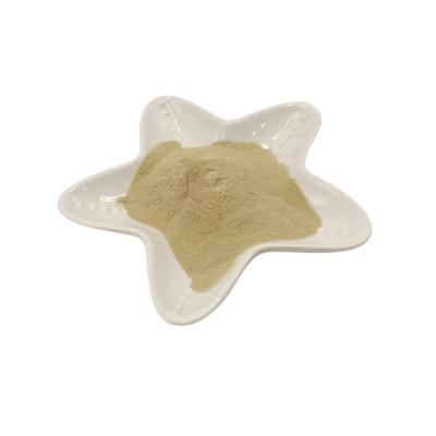 중국 발전소 관계자 13% 질소 비료 아미노산 80 생물 자극제 파우더 판매용