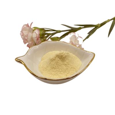 Cina Acidi aminatici liberi polvere organica azoto origine vegetale alto contenuto in vendita