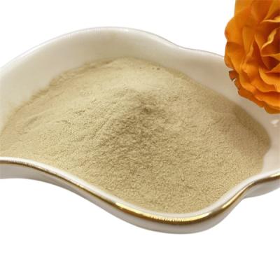 중국 식물을 위한 밝은 갈색 아미노산 80 분말 비료 판매용