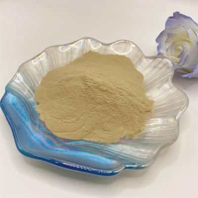 Cina Amminoacido libero 80 in polvere 13% fertilizzante azotato per piante in vendita