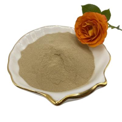 China Amino Acids Organic Fertilizer Powder with 45% - 50% Total Amino Acid for sale