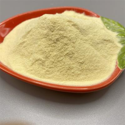 Cina Polvere di proteine di soia a base vegetale di colore giallo chiaro certificata dall' USDA con una solubilità istantanea del 100% in vendita
