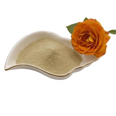 Cina 75%~80% Amino Acid Light Brown Powder with 70%~75% Free Amino Acid in vendita