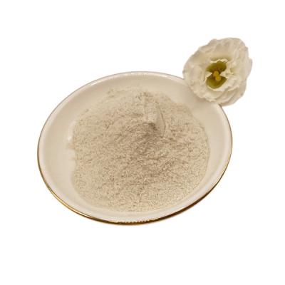 Κίνα Natural ChitosanPro from Crab Shell for Feed Additive προς πώληση