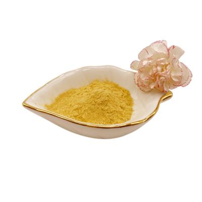 Cina Chitosan Powder of Yellow Color With 5~7 PH Value / <3000DA Molecular Weight in vendita