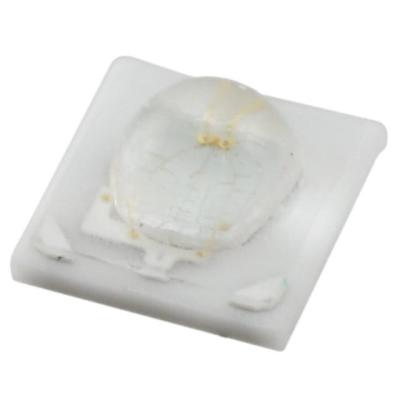 China ELSW-E71B1-0GPNM-CB7B8 for sale