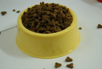 China Free formula and installation 1000-1500kgs/h steam type extruder pet food machine for sale