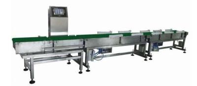China heavy-duty, in-motion, check weight conveyor designed Checkweigher to weigh large and heavy products for sale