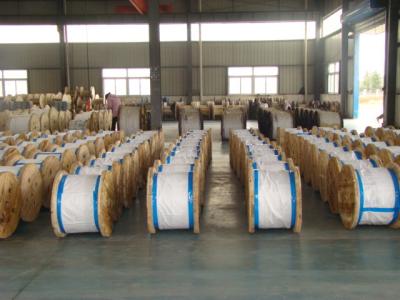 Cina 1/4