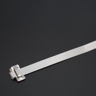 Cina SS316 Banda in acciaio inossidabile serie 300 con guinzaglie compatibili in vendita