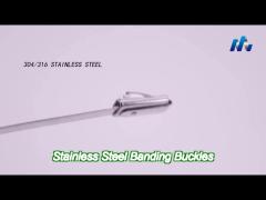 Aisi Ss316 Stainless Steel Cable Tie Ss 201 Ss304 Cold Rolled Flat Shape