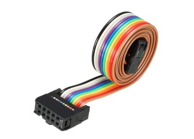 中国 IDCの虹48cmワイヤー10ピン2.54mmピッチのコネクターが付いている平らなリボン・ケーブル 販売のため