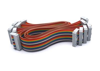 China IDC-het Lintkabel van de Schakelaar Vlakke Regenboog met Wijfje aan Vrouwelijke Contactdozen Te koop