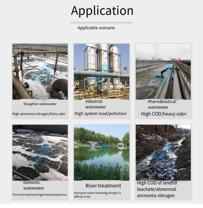 Aerobic Agents Bacteria Grey Powder wastewater Treatment BOD COD Ammonia Nitrogen Removal 0