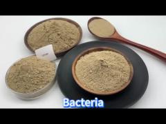 Industrial Wastewater Treatment Brown Powder Bio Bacteria Aerobic Bacterial Agent Anaerobic Bacterial Agent