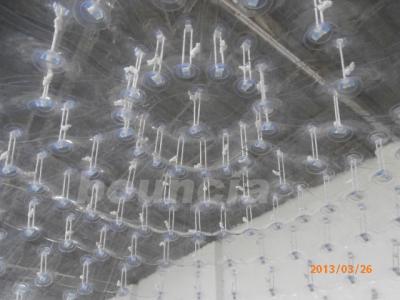 Cina tenda ermetica del PVC di 0.8mm per il campeggio all'aperto/fiera commerciale/promozione in vendita