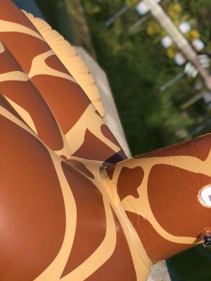 Cina Bagno gonfiabile Giraffa Piscina 0,32 mm Decorazione galleggiante Piscina gonfiabile gigante in vendita