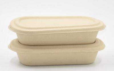 China 1000ml Biodegradable Straw pulp food container 2 compartments paper food tray with PP lid for sale