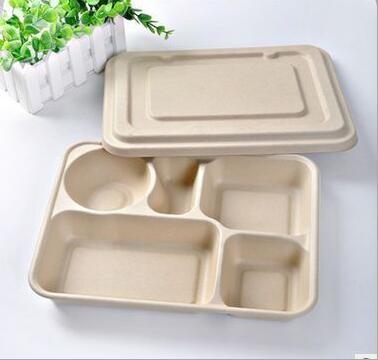 China Biodegradable Straw pulp 5 compartments food container paper food trays for sale