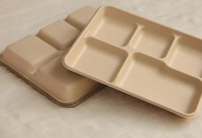 China 5 compartments Biodegradable Straw pulp food containers paper food trays for sale