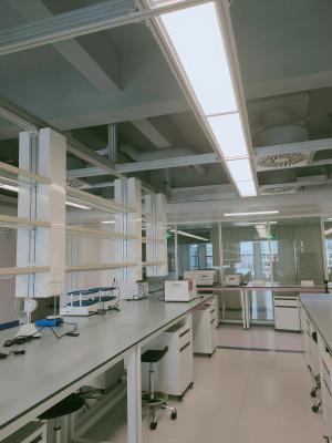Cina Banchi di laboratorio mobili chimici modulari della mobilia moderna del laboratorio della resina fenolica in vendita