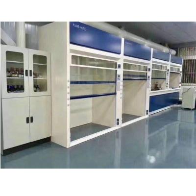 Cina Passeggiata nella camera moderna del vapore della mobilia del laboratorio nel laboratorio di chimica Ductless in vendita