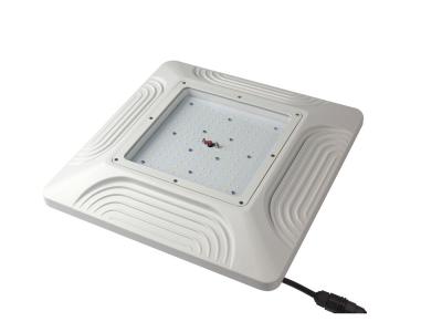 China Recessed Mounted 100W  LED Gas Station Canopy Lamp, IP65, Meanwell driver  LEDs for sale