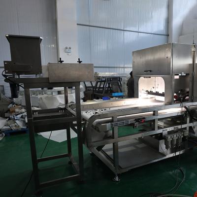 China AI Powered Strawberry Chip Color Sorter Machine with high Capacity for sale
