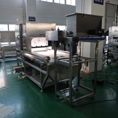 China Customized Color Sorter Machine with Advanced AI dehydrated vegetables Sorting for sale