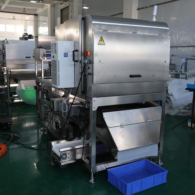 China Customized Color Sorter Machine with Advanced AI dehydrated vegetables Sorting for sale