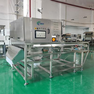 China Stainless Steel Dried Wakame Sorter for sale