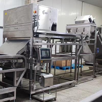 China The advanced 0.75kw grain sorting machine has an accuracy rate of 95% for green and red peppers for sale