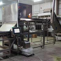 Quality Accurate Optical Sweet Potato Dice Sorting Machine for sale