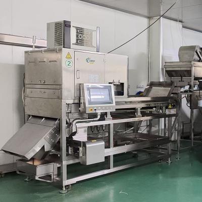 Chili peppers, spices AI  Sorting Machine with 64 Chutes Less Than 3.8m3/Min Air Consumption