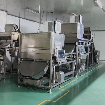 China Advanced Color Sorter with 90%+ Sorting Accuracy for sale