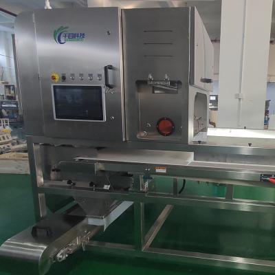 China Advanced Color Sorter with 90%+ Sorting Accuracy for sale