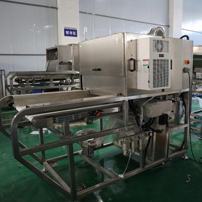 China 304 Stainless Steel AI Coffee Variety Sorting Machine 220V/50Hz for sale